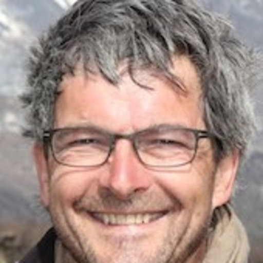 Was sind das für Flecken auf Bäumen und Steinen? - WSL-Junior